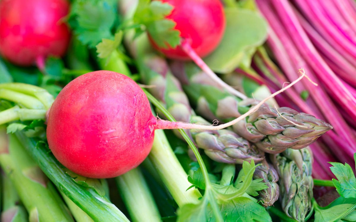 Cuadro De Siembra De Frutas Y Verduras Para Acompañar