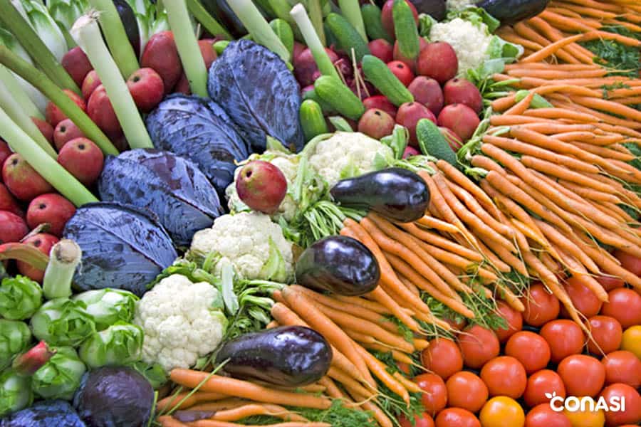 Calendario de invierno ¿Qué vegetales añadir a tu plato en invierno?